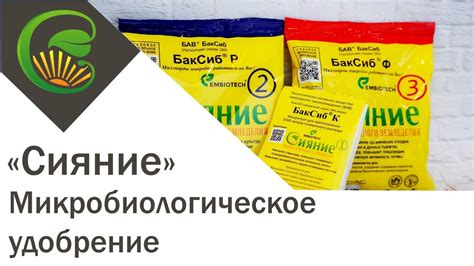 "Сияние", микробиологическое удобрение, результаты применения - YouTube