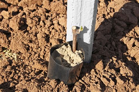 Nuovo Vigneto Come Preparare Il Terreno Vita In Campagna