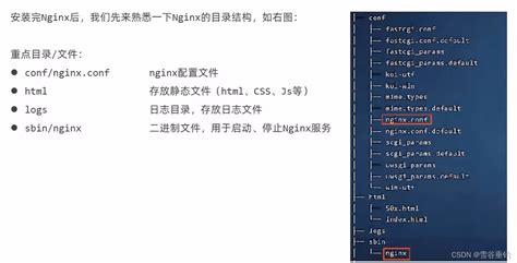 Nginx入门指南：安装、配置与应用 Csdn博客
