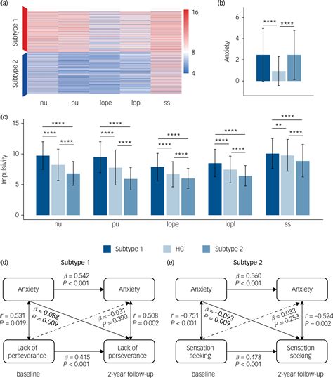 Decoding Anxietyimpulsivity Subtypes In Preadolescent Internalising