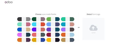 Odoo Multi Websites Odoo V Community Edition Book