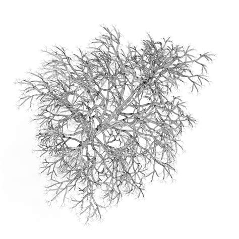 Cgaxis Models Volume 28 Fbx Obj 3d Model 99 Fbx Obj Unknown Free3d