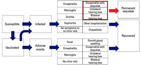 Decision Tree Flowchart Of Mumps Infection And Adverse Events Due To