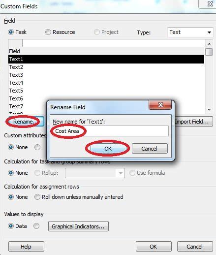 Creating A Custom Field Containing A Lookup Table In Project 2010