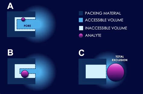 Size Exclusion Chromatography Analytical Separation Science