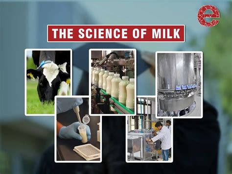 How To Make A Career In Dairy Technology A Step By Step Guide To Help You