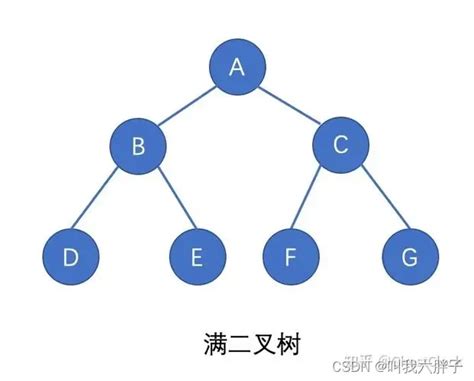 【二叉树】1 5,理论基础、前中后序遍历的递归法和迭代法、层序遍历 Csdn博客 【二叉树】1 5,理论基础、前中后序遍历的递归法和迭代法、层序遍历 Csdn博客