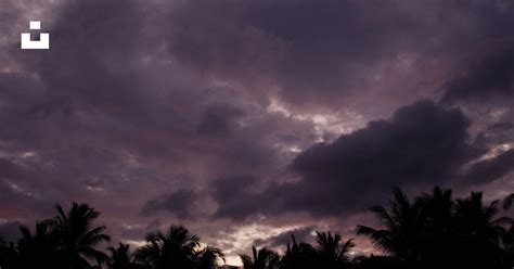 전경에 야자수가있는 흐린 하늘 사진 Unsplash의 무료 회색 이미지