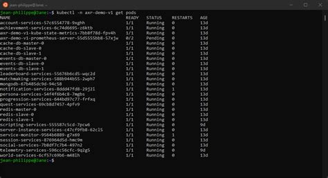 accessing a cluster — xbe docs v2024 12 0 documentation
