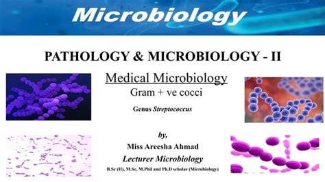 Dpt Microbiology Ii Gram Ve Cocci Genus Streptococcus Ppt