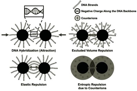 The Role Of Repulsion In Colloidal Crystal Engineering With Dna