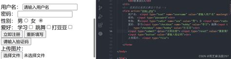 第六课——表单标签＜input＞＜label＞＜select＞和综合案例相亲网站 input重置按钮 csdn博客