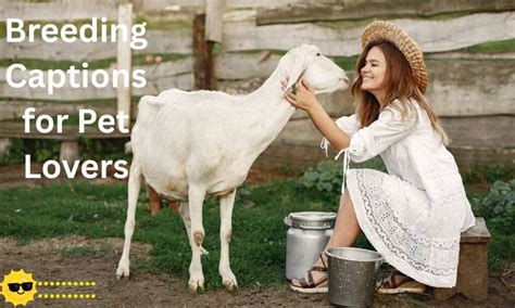 Top 500 Trending Breeding Captions For Social Media Captionses