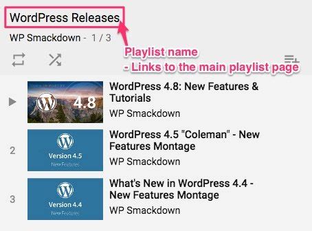 How To Embed A YouTube Playlist In WordPress 4 Options