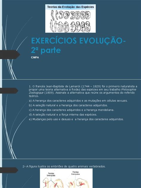 Exercícios Evolução 2 Parte Pdf Evolução Espécies