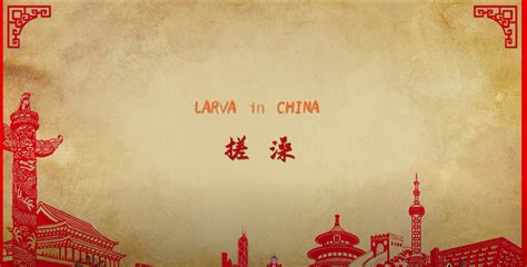 Scrubbing Larva Animation Wiki Fandom