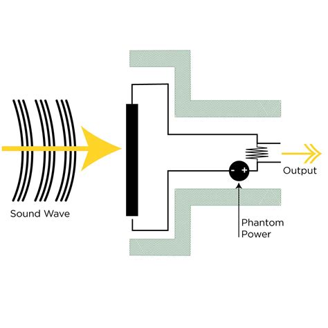 Dynamic Microphone Diagram