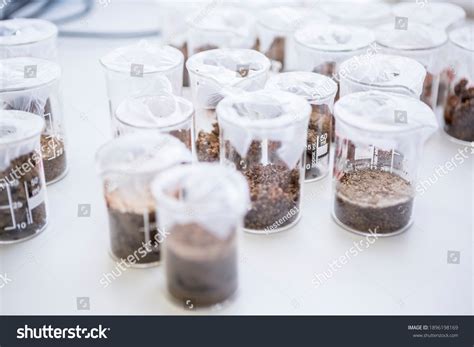 3 577 Laboratory Soil Sample Images Stock Photos Vectors Shutterstock
