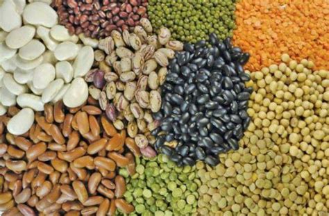 India Accused Of Dramatic Under Reporting Of MSP For Five Pulses At WTO
