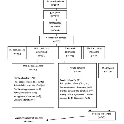 Flowchart Of Potential Organ Donors Download Scientific Diagram