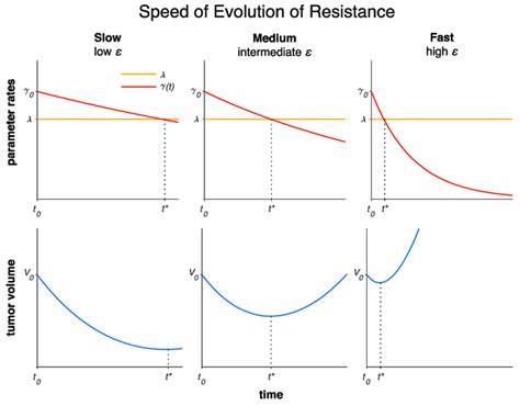 The Model Can Explain A Variety Of Tumor Volume Dynamics By Varying The Download Scientific