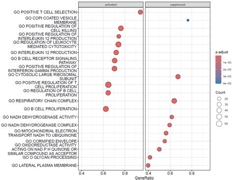 一文掌握单基因gsea富集分析 Gseago And Gseakegg Csdn博客 一文掌握单基因gsea富集分析 Gseago And Gseakegg Csdn博客