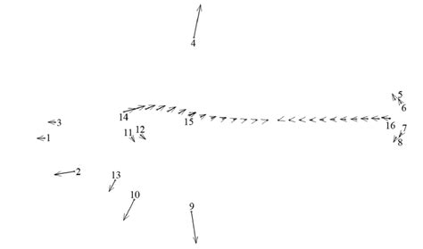 Vector Deformation Grid Representing Pc1 Of Bothidae Data On The X Download Scientific Diagram
