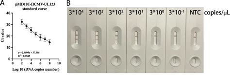 Minimum Detection Limit Results Of HCMV RPA LFS Detection Method A Download Scientific