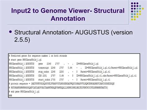 Genome Annotation 2013 Ppt Genetics Science