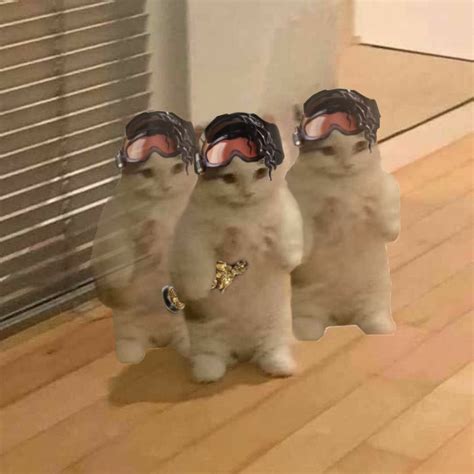 Mirage Cat Mirage Pfp Renegade Raider Cat Pfp R6 Cat Pfp