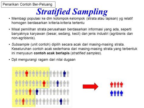 Detail Contoh Stratified Sampling Koleksi Nomer 7
