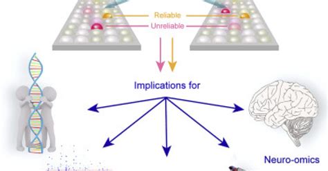 Patterns Of Reliability Duke Department Of Biostatistics And