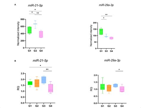 mir 21 and mir 29 expression levels obtained with microarray a and