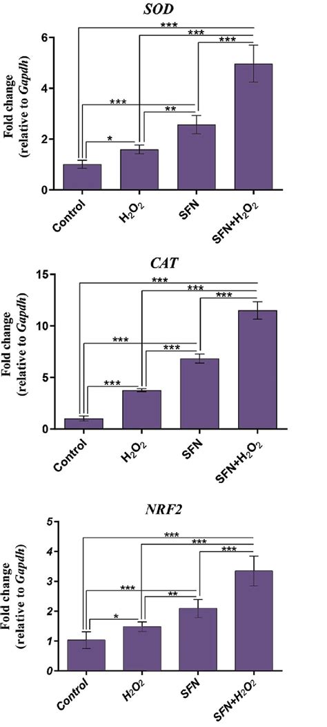 Evaluation Of The Mrna Expression Level Of Nrf2 Sod And Cat In The