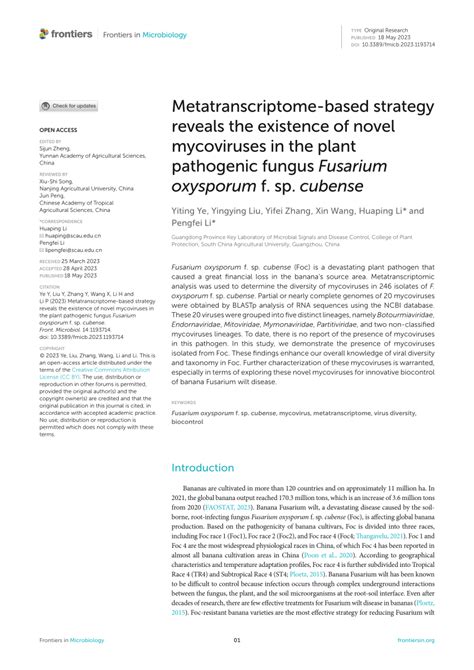 Pdf Metatranscriptome Based Strategy Reveals The Existence Of Novel Mycoviruses In The Plant