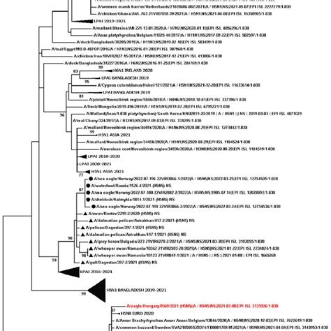 Phylogenetic Tree Constructed Using The Nj Method Based On The