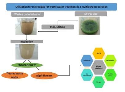 Microalgae Based Hybrid Approach For Bioenergy Generation And Bioremediation A Review