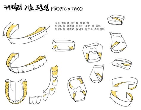 타코작가 Taco1704 Twitter 해부학 예술 드로잉 강좌 드로잉