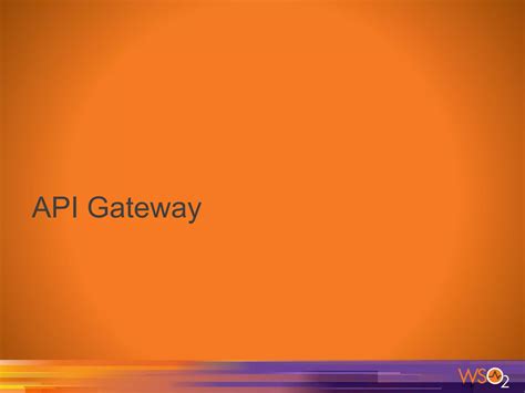 Wso2 Api Manager 20 Overview Pdf