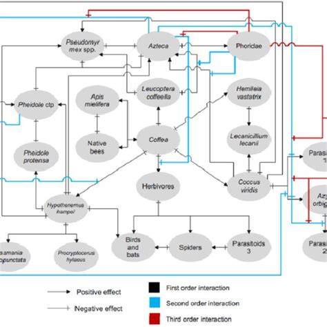 complete network before transformation from hois to pseudo nodes black