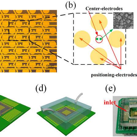 Structure Of The Device A Electrode Array B Structure Of One Download Scientific Diagram