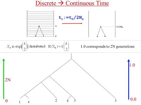 Fixed Parameters Population Structure Mutation Selection