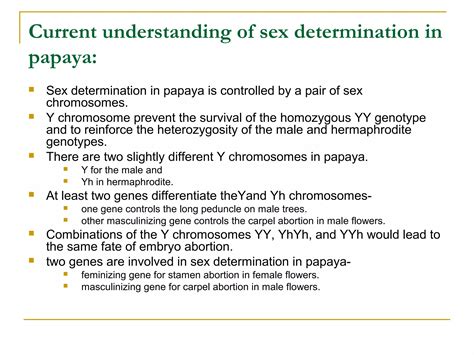 Sex Determination In Papaya Ppt