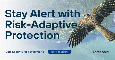 Forcepoint On Linkedin Dynamically Adjust Policy Enforcement Based On
