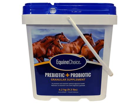 Best Horse Supplements Harness Optimal Horse Health