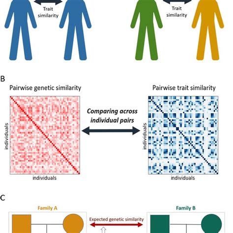 Estimating Heritability Common Methods For Estimating The Heritability Download Scientific