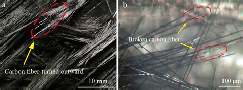 Morphology Of Broken Carbon Fiber Bundle A Macro Morphology B