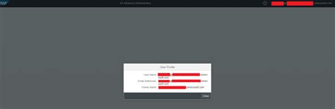 Single Sign On Does Sso Authentication On Sap Hana 2 With Xsa And